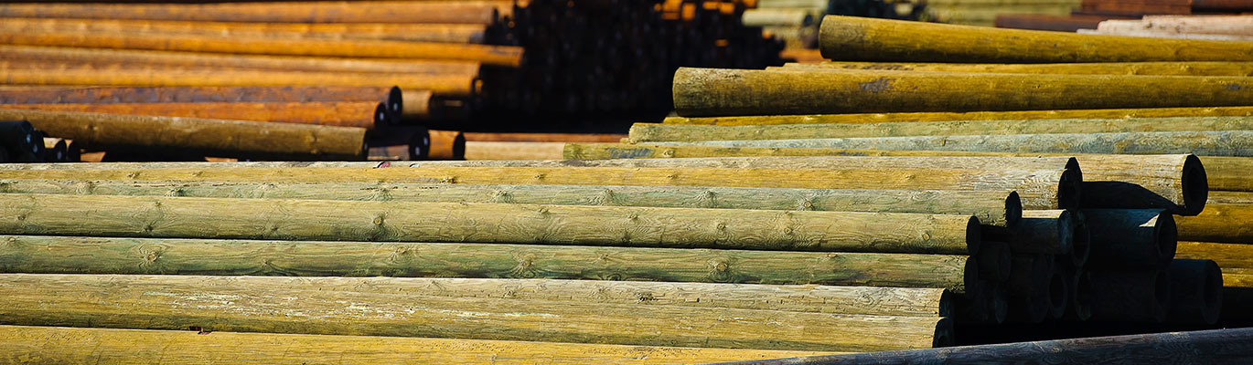 Pole wood | Wood poles | Saturated poles for durable construction