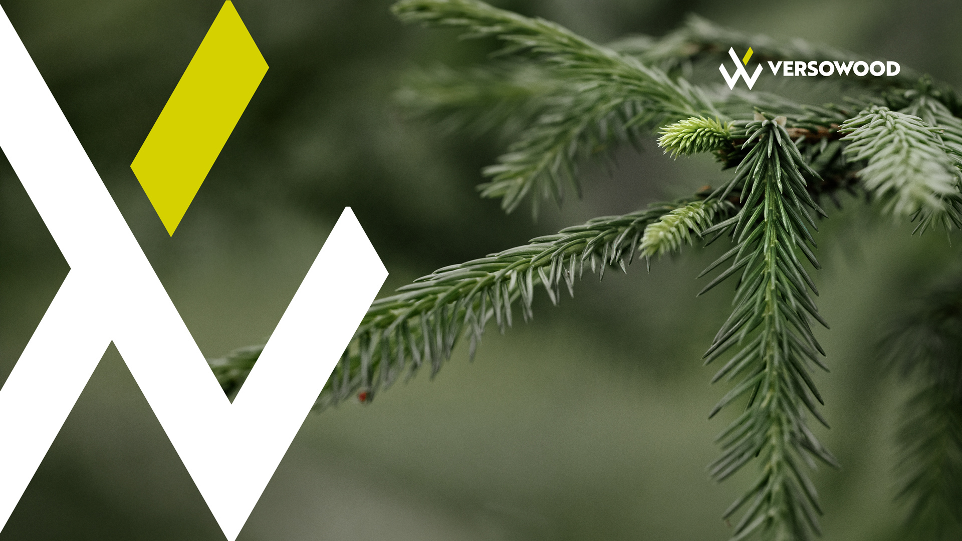 VERSOWOOD OY ACQUIRES PINAR OY :: Versowood