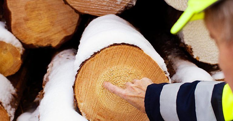 Wood sales :: Versowood