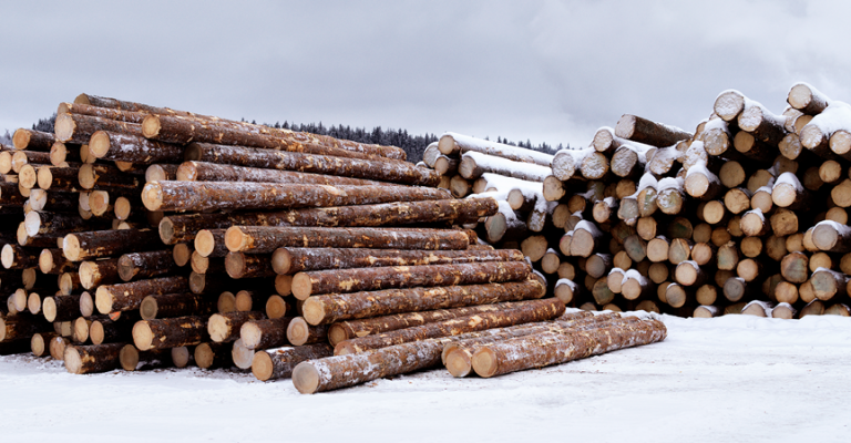 Wood sales :: Versowood